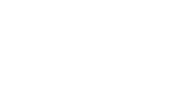 SAN Support - Understanding Positive Behaviour Support Under the NDIS SAN Support - Understanding Positive Behaviour Support Under the NDIS