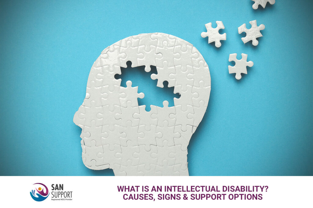 SAN Support - What is an Intellectual Disability? Causes, Signs and Support